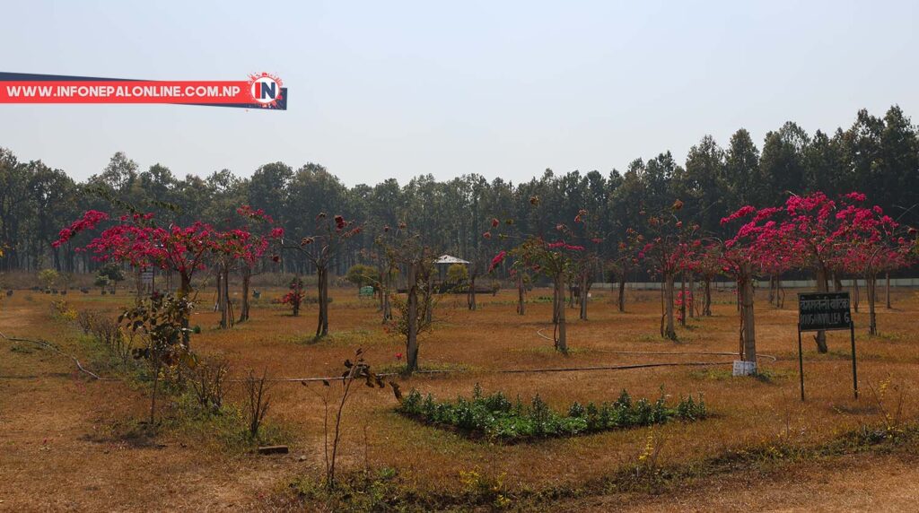 Hetauda’s Vrindavan: A Heavenly Destination for Nature Lovers - Info ...