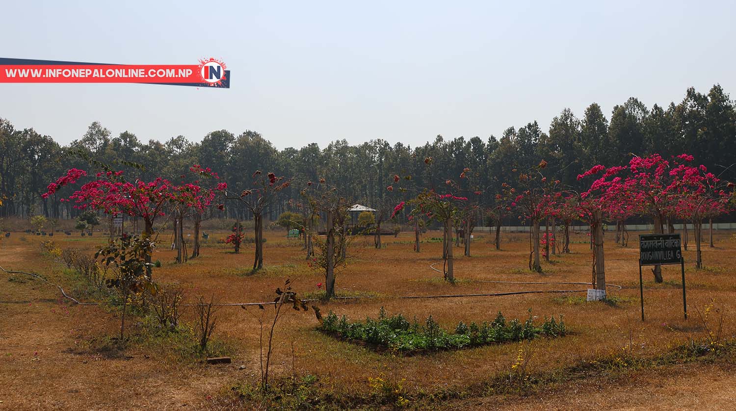 Hetauda’s Vrindavan: A Heavenly Destination for Nature Lovers - Info ...